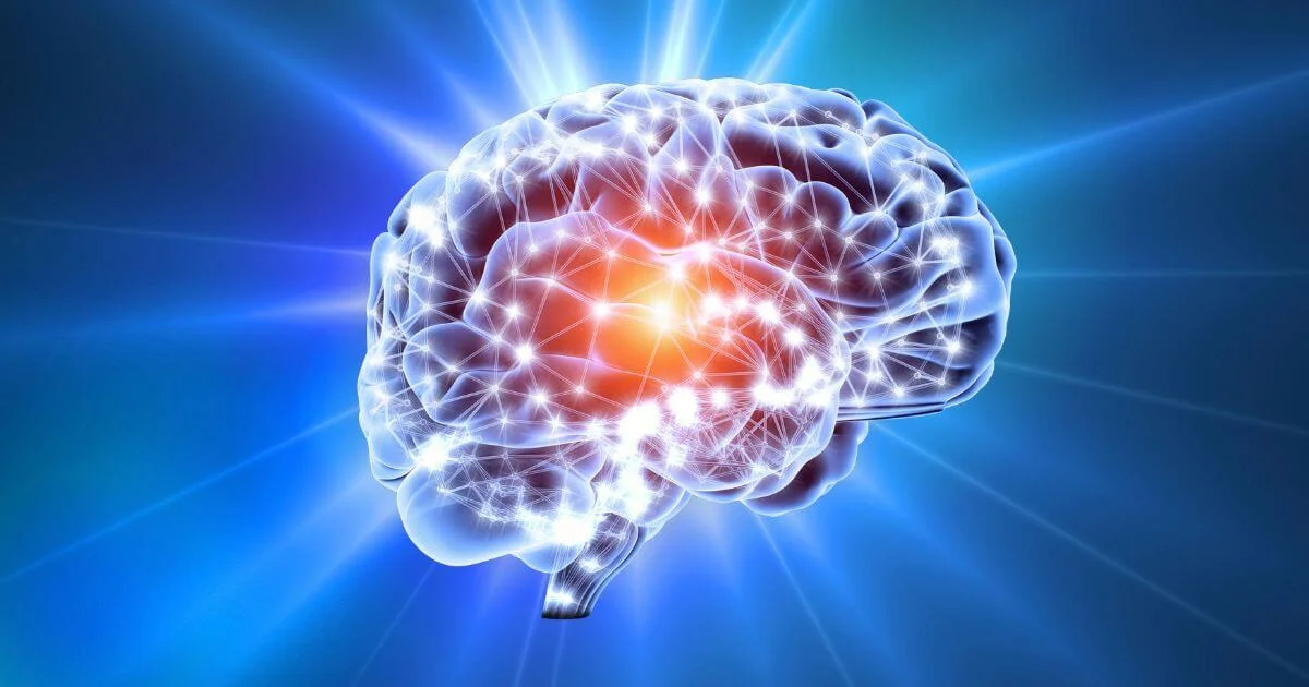 Harnessing the Power of Your Prodigy Brain: How to Unlock Your Full ...